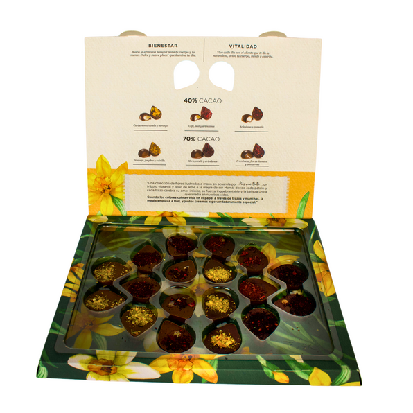 Chocolates Premium - Evok